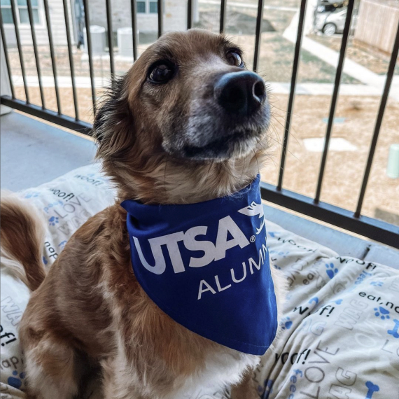 Welcome to The University of Texas at San Antonio | UTSA