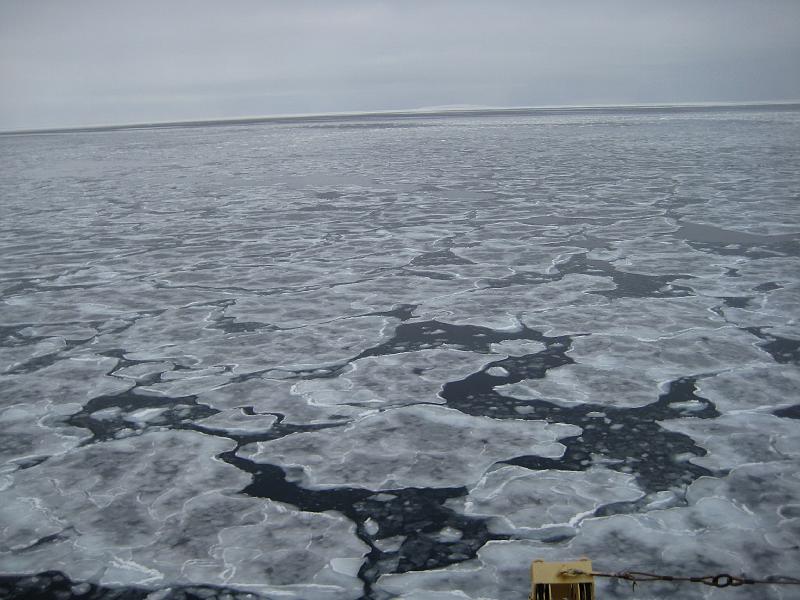 SIMBA Website/Ice Types/young grey ice 1